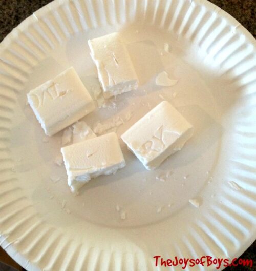 Ivory Soap Experiment - Only Soap and Microwave Needed - The Joys of Boys
