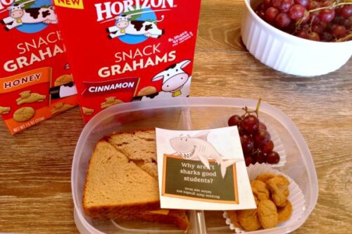 Printable Lunch Box Jokes