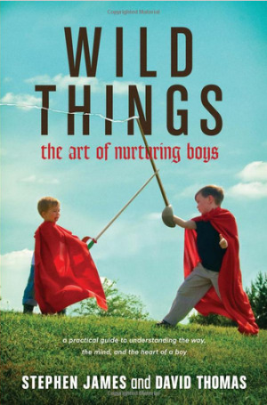 Top-Rated Books on How To Raise Boys - The Joys of Boys