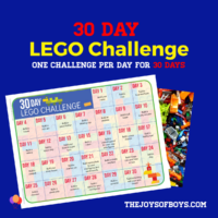 30 Day LEGO Challenge – LEGO Activity - The Joys of Boys